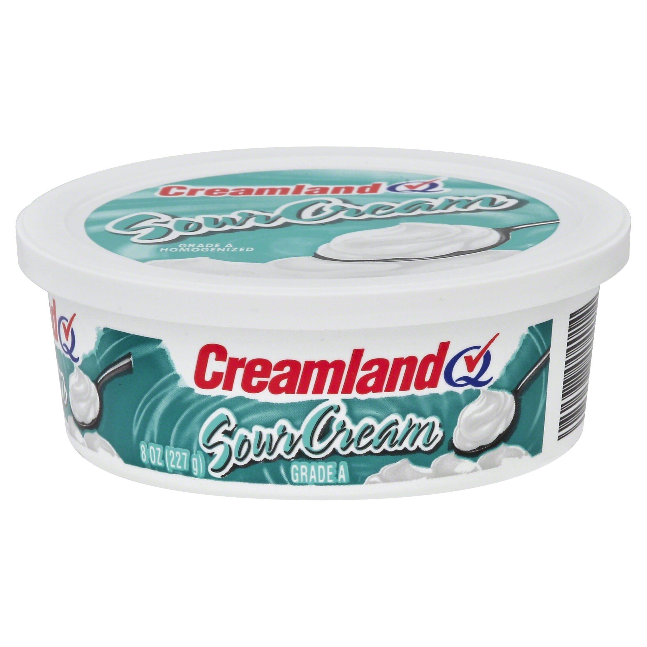 Sour Cream 8oz - Creamland™ Dairy